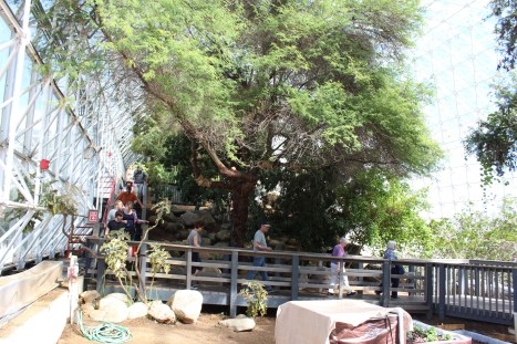 First Time at a Man-Made Biosphere – Camper Chronicles