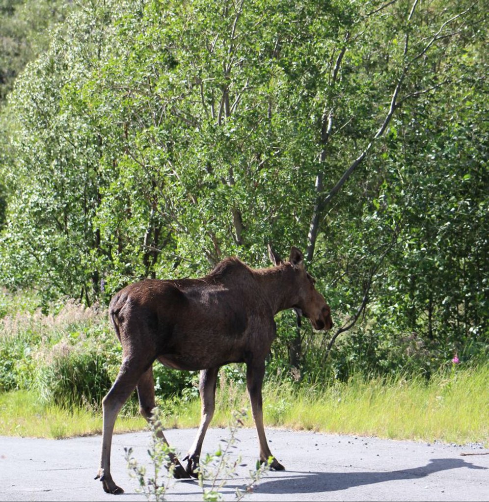 First Time at Kennecott Mine – Camper Chronicles