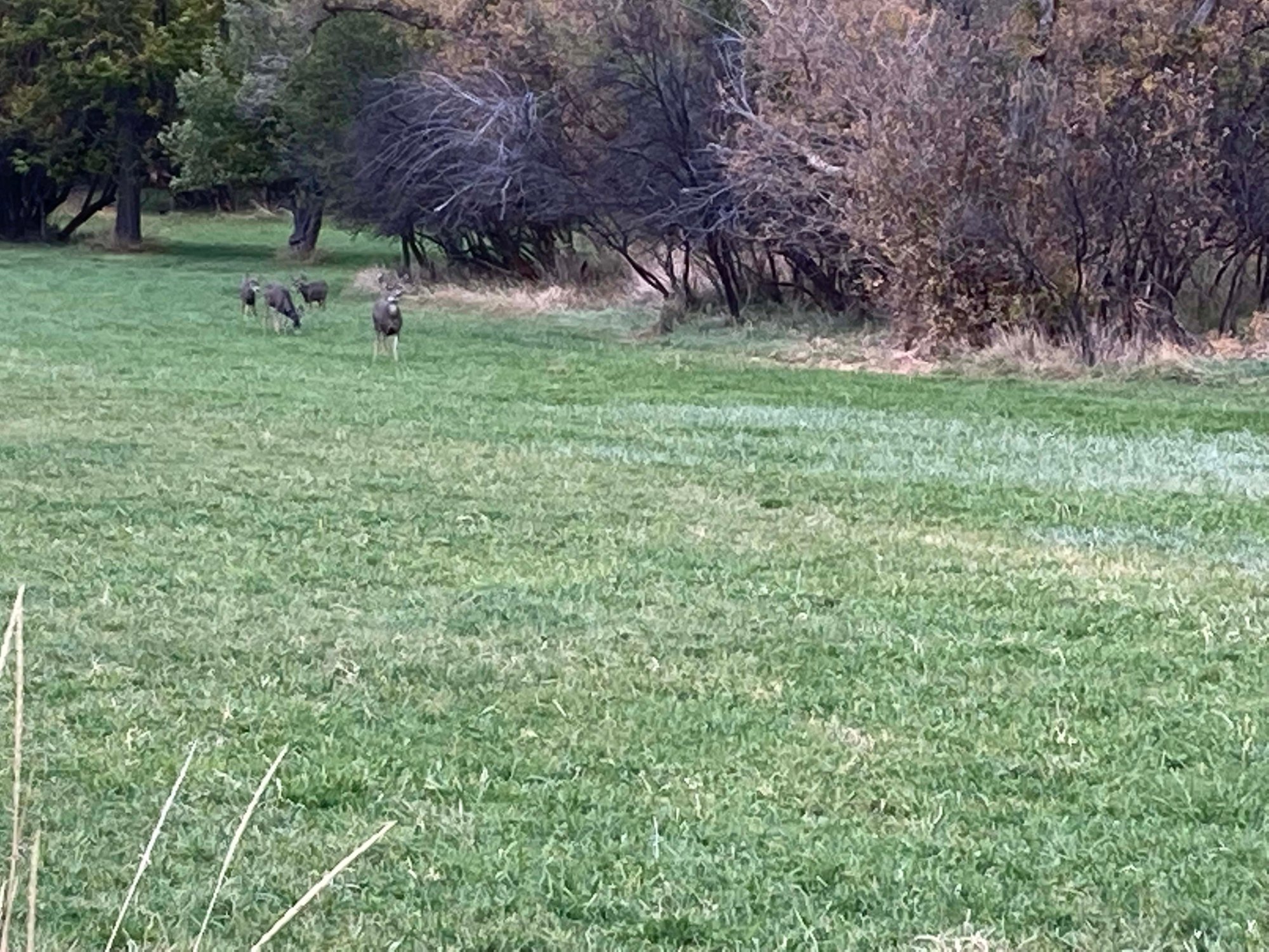 First Time in Spring Valley State Park – Camper Chronicles
